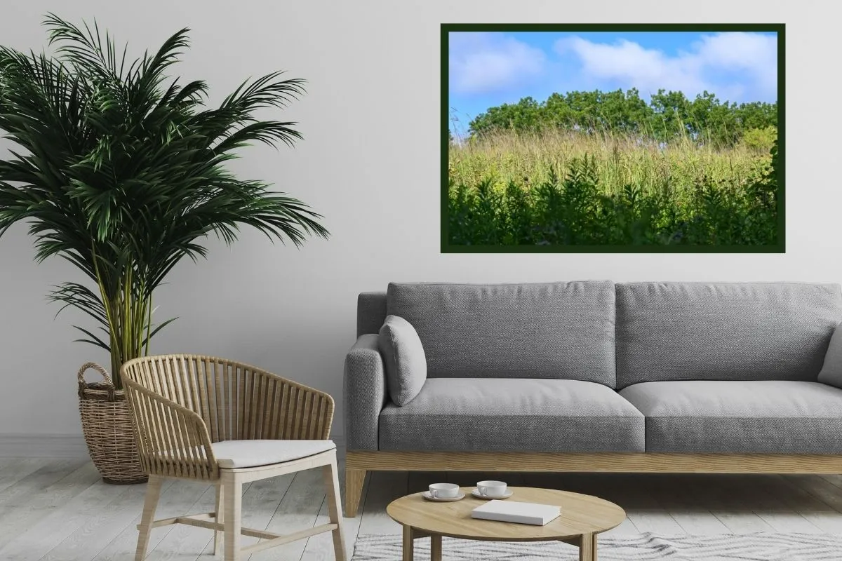 Vastu Directions and Tips for Wall Paintings in Your Home
