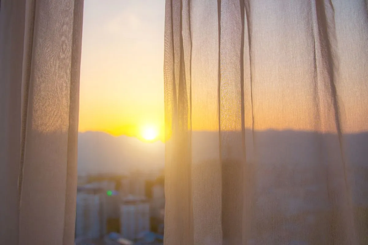 Cardinal & Diagonal Directions in Vastu: Meaning & Significance